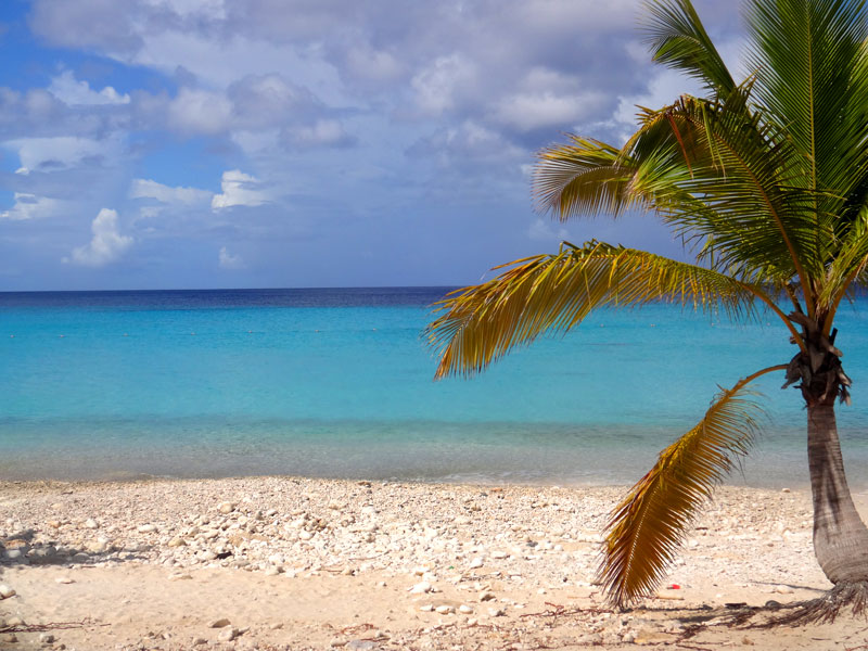 Kenepa Grandi, a praia mais bonita de Curaçao