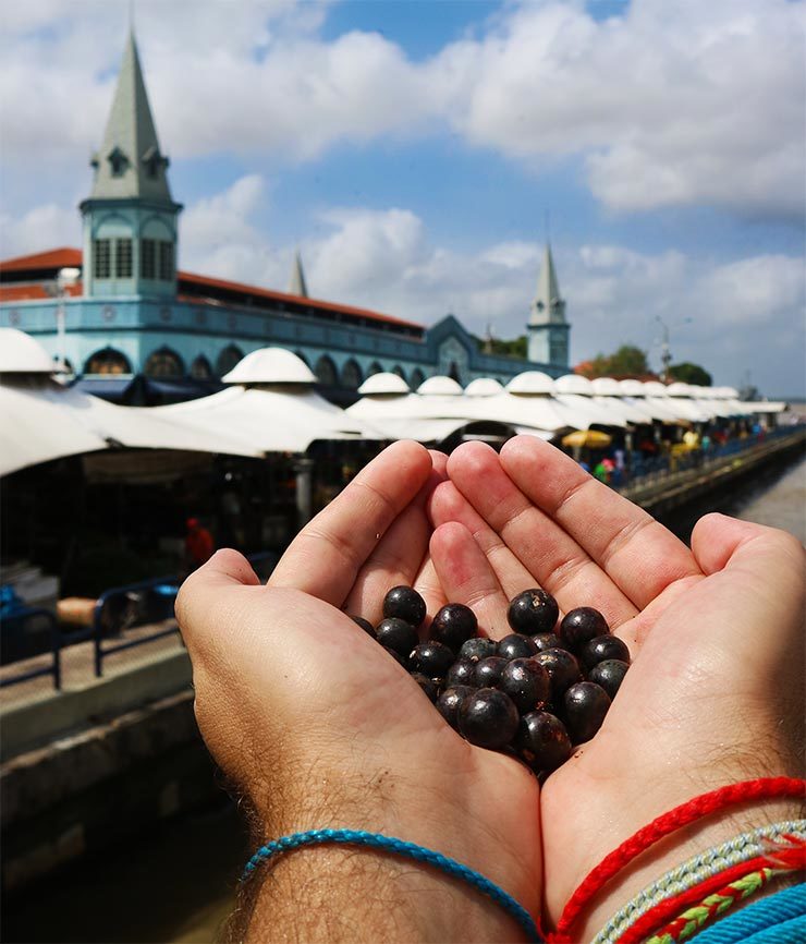 Culinária paraense: Os principais pratos típicos do Pará