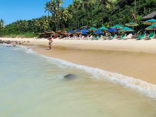 Melhores praias de Pipa, RN: Como chegar, dicas e atrações