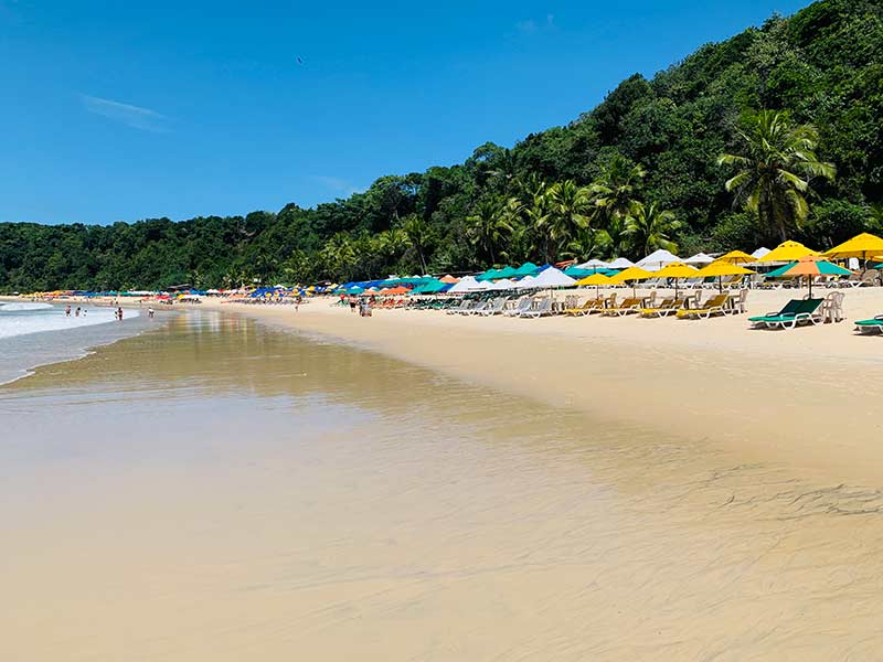 Praia do Madeiro em Pipa, RN: O que fazer, barracas e como ir