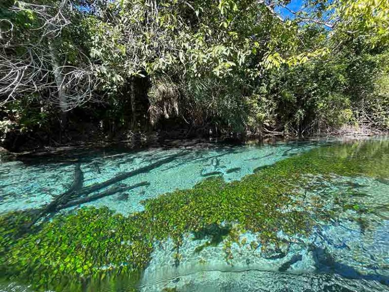 Passeios em Bonito, MS: Flutuação, cachoeiras, grutas e mais