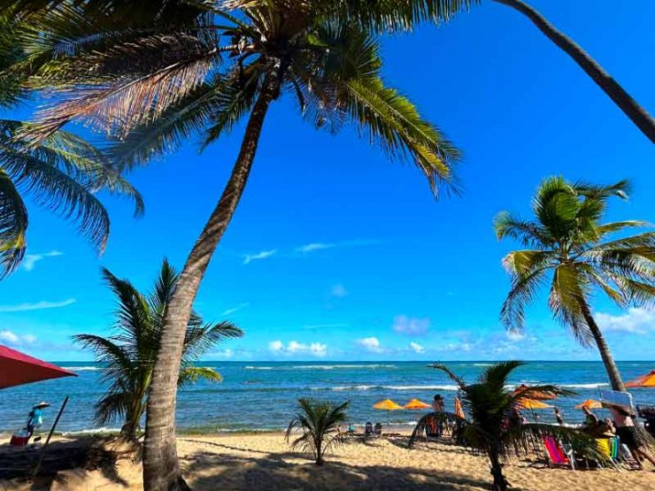 O que fazer na Praia do Forte: Guia completo com todas as dicas