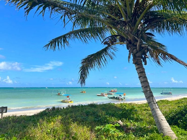 Praias de Alagoas: Conheça as melhores com dicas de onde ficar