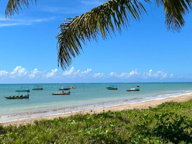 O que fazer em São Miguel dos Milagres: Praias, passeios e roteiro