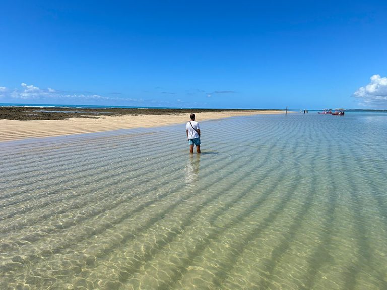 O que fazer em Maragogi: Praias, passeios, quando ir e muito mais